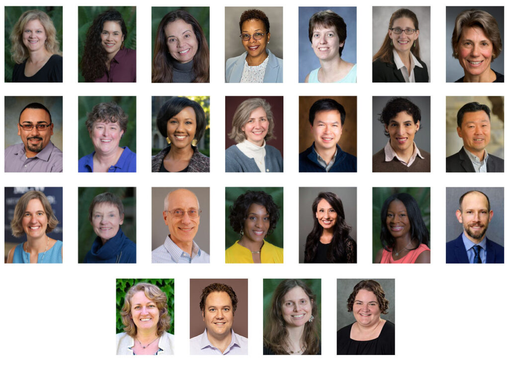 Principal Facilitators – CIMER